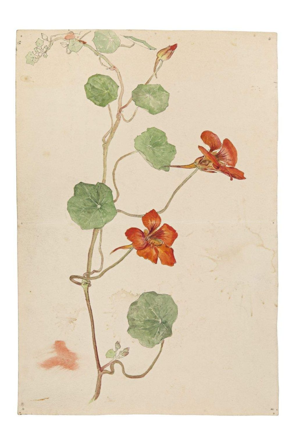Hilma af Klint 1862-1944 - UTULĘ THULE | Sztuka Północy